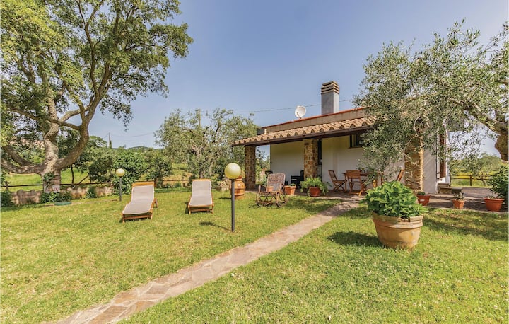 Sughereto 2 - Gavorrano