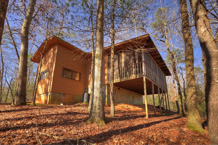 Secluded Bliss Birchtree Cabin With Indoor Hot Tub - Georgia, GA
