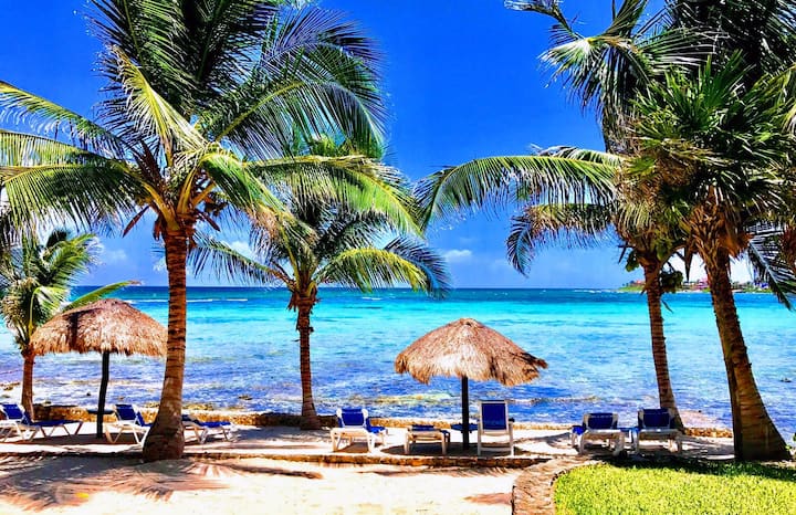 Beachfront! Snorkeling, Pool And Gardens - Akumal