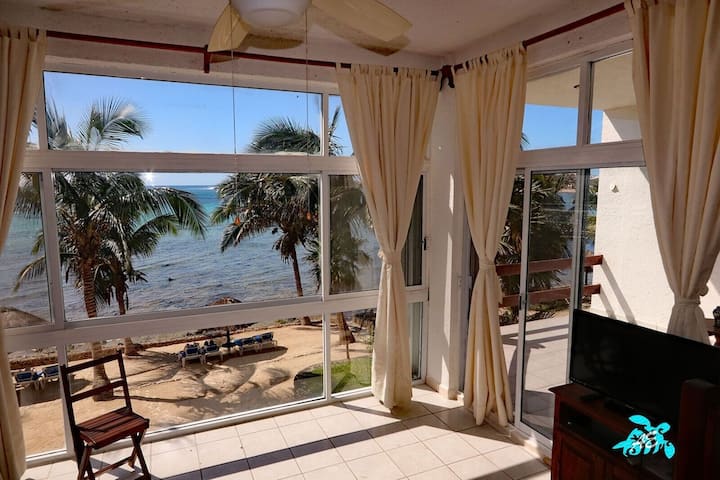 Beachfront! Snorkeling, Pool And Gardens - Akumal