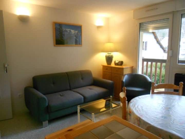 Appartements 4 Personnes à Deux Pas Du Centre - Saint-Lary-Soulan