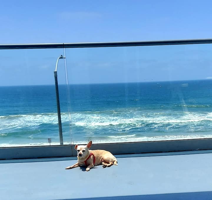 #4a Sea Breeze - On The Beach! - Carlsbad, CA