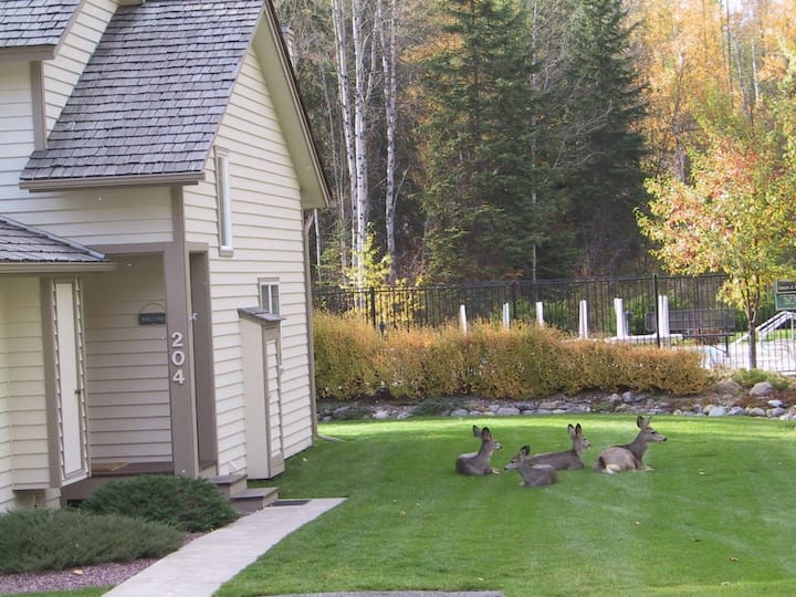 Welcome To Mountain Harbor 204- Deer Hollow Loft - Whitefish, MT