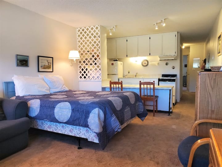 Budget Pet Friendly Ocean View Studio At Proposal Rock Inn Second Floor! - Neskowin, OR