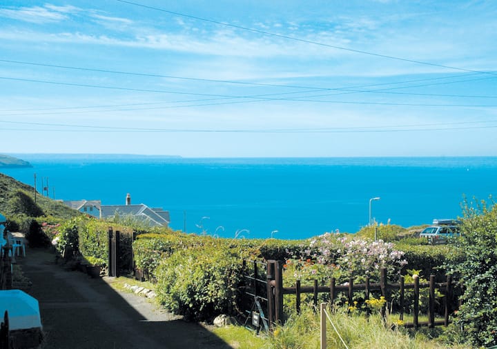 Seaview Cottage - Mortehoe