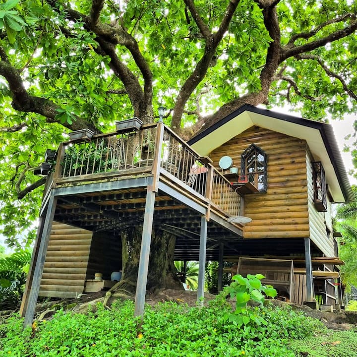 La Casa Del Arbol Magico  By Acomodo - Panama