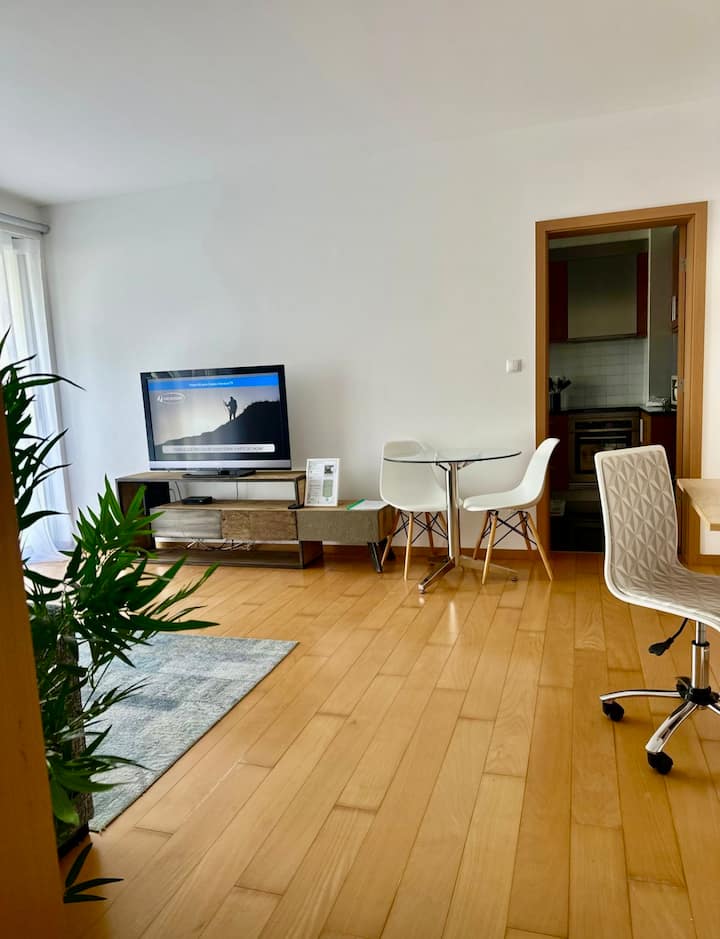 Azores Paim Apartment T1 - 아소르스 제도