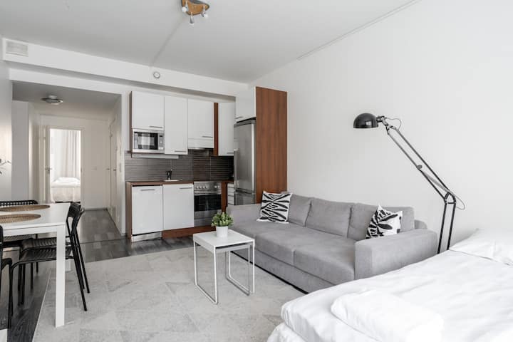 1br Downtown Apt With Sauna, Hosts 8 Guests - Tampere
