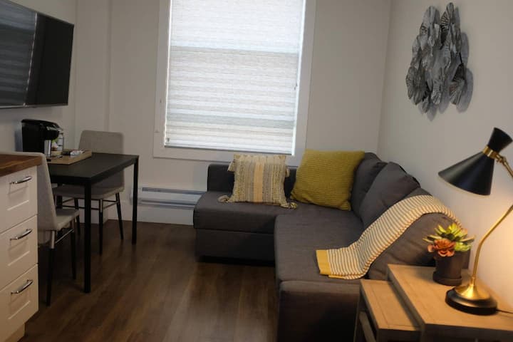 312-1 Bedroom Apt In San Jose. Pedestrian's Dream! - San Jose, CA