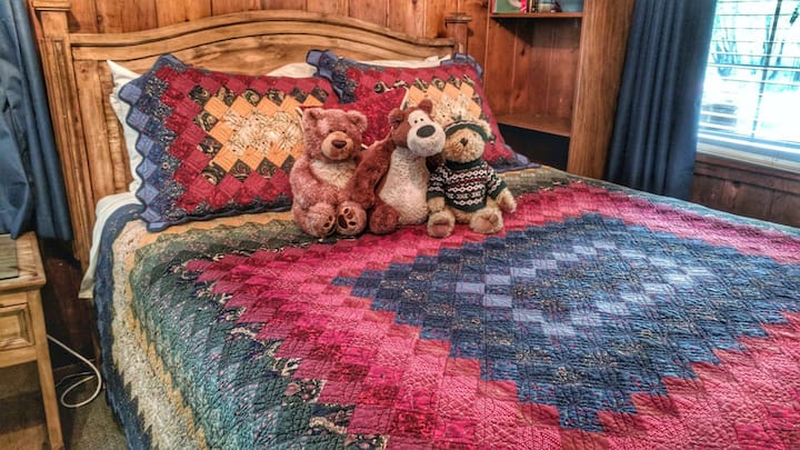 Alpen Way Chalet Mountain Lodge - Bountiful Cabin - Evergreen, CO