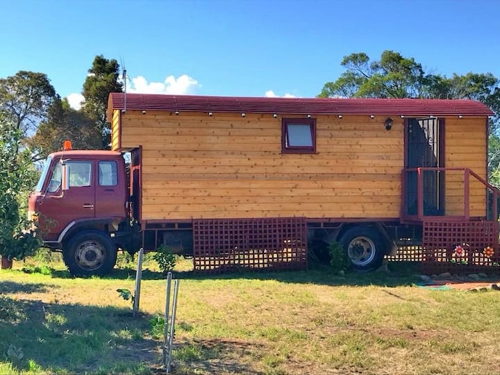 Gypsy Rose (Belmont Homestead) - Swansea