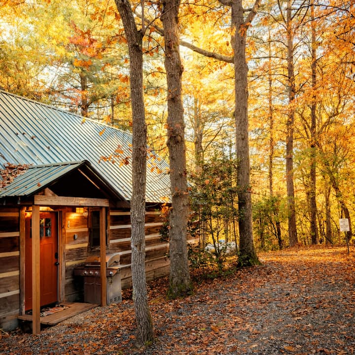 The Homesteader - Blue Ridge Mountains