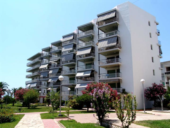 Auriga 204 - Salou