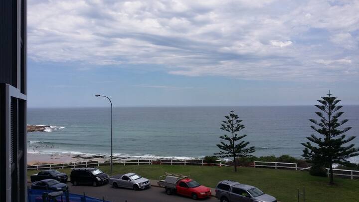 Newcastle Beach Arvia 311 - Newcastle