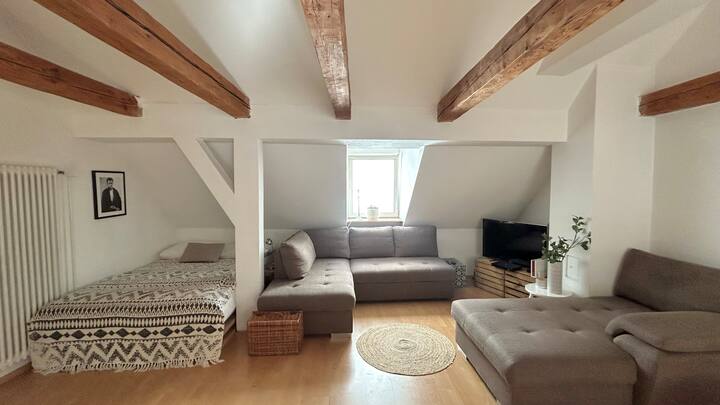 Altstadtloft Straubing - Straubing