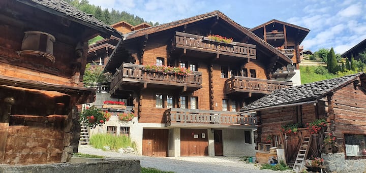 Defruna Studio - Grimentz