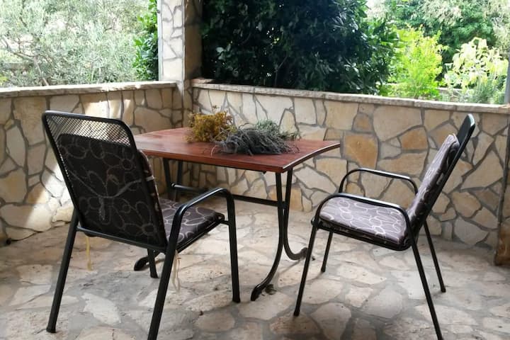 As-5117-a Garçonnière Avec La Terrasse Murter - Betina