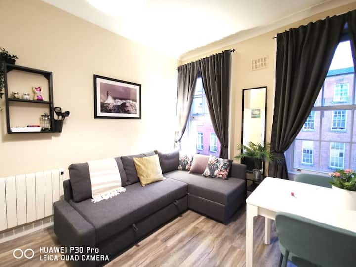 Central 1-bed Off Oconnell St Fast Reliable Wifi - Dublin