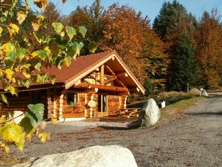 Sublime Chalet Rondins De 140 M² En Lisière De For - Alps