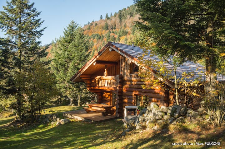 Magnifique Chalet Rondins à La Bresse, Tout Confor - La Bresse
