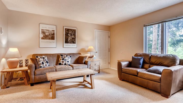 Grand Condo Near Downtown Breck & Slopes! - Breckenridge, CO