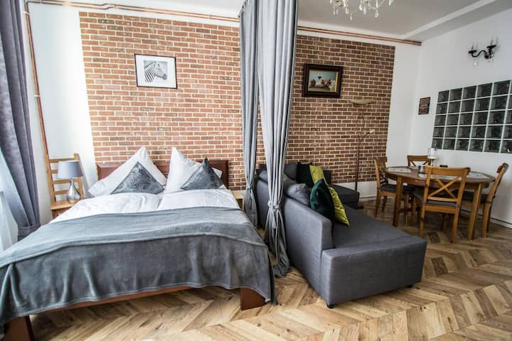 Design Ruterra Loft Next To Synagogue - Praga