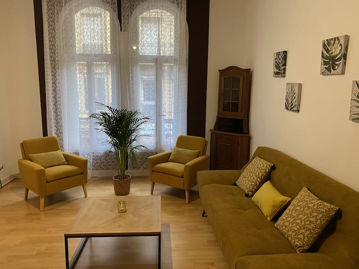 Grand Appartement En Centre Ville - Eckbolsheim