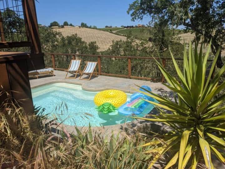 Pool & Vineyard Views Hideaway House - Paso Robles, CA