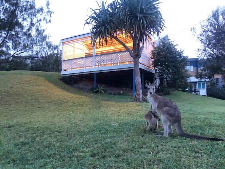 Original Cottage Situated Opposite The Entrance To The Gorge Walk. - Point Lookout