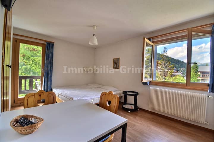 Lona B 51 - Grimentz