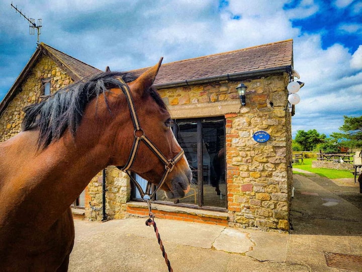 Cosy Family Cottage On A Farm, Near Gower Beaches - The Mumbles