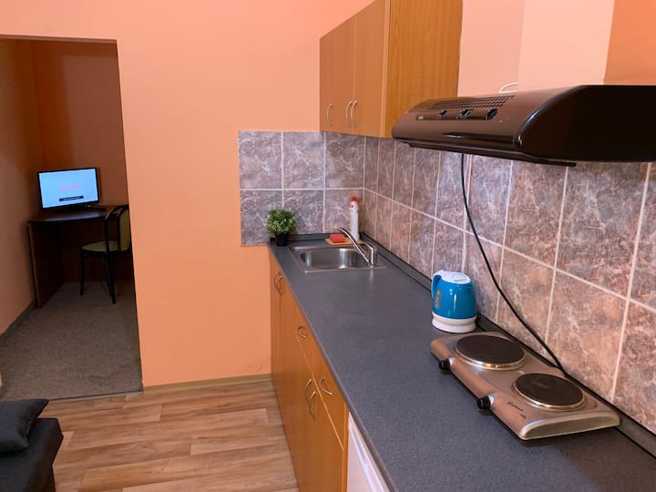 One Bedroom Apartment 15 - Pension City Center - Prag