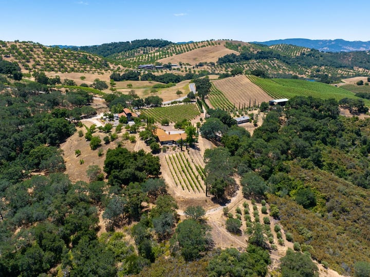 Cocavin Carriage House-exquisite Ambiance - Lake Nacimiento, CA