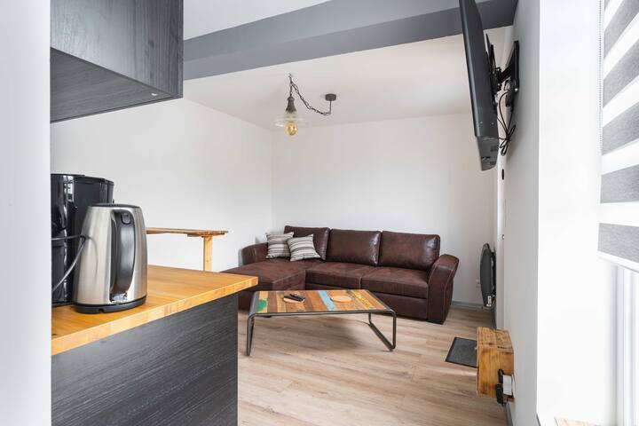 Le Deluxe Grand F3 En Bord De Rivière Sur Louviers - Louviers