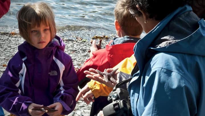 Grandma's Suite: Valley Convenience-10% Off Tours! - Juneau, AK