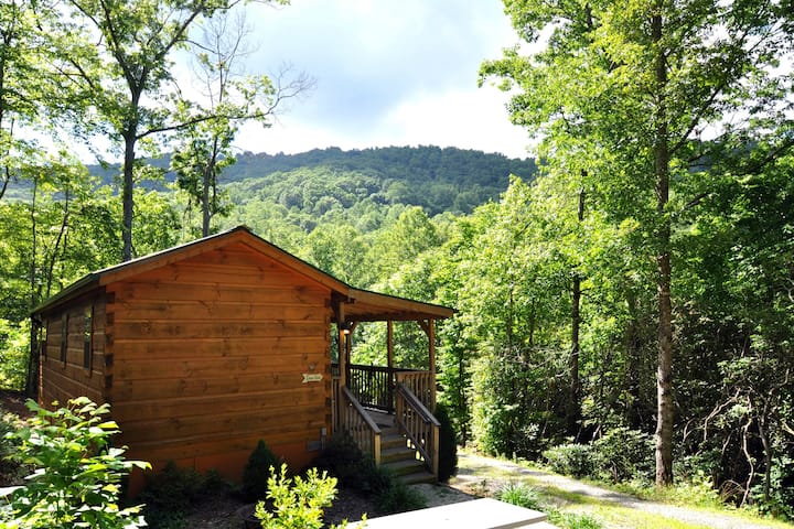 Romantic Cabin + Biltmore Pass,20 Min To Asheville - Asheville, NC