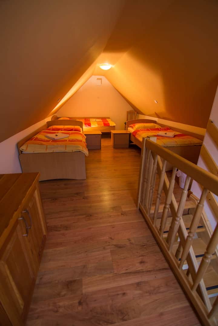 Apartments Mrakic, Wild Descent - Bovec