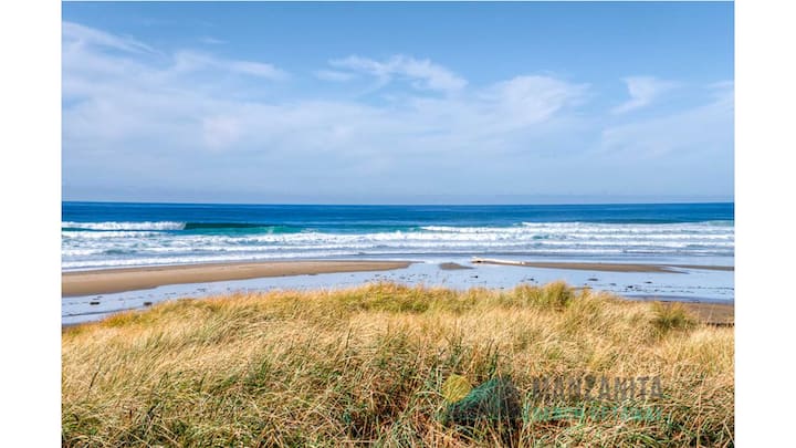 Nomi`s Ark - Manzanita, OR