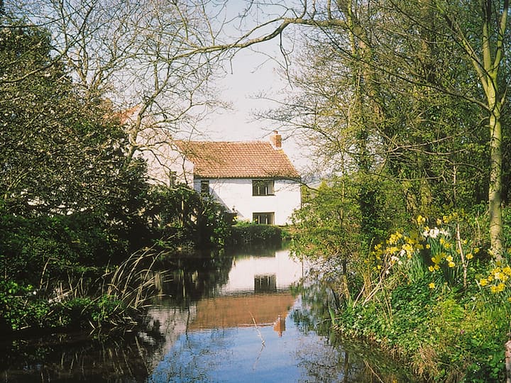 Maxmills Cottage - E1852 - Cheddar
