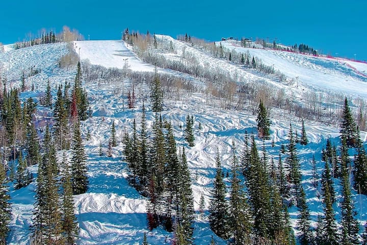 Stay At The Resort!! Ski In/walk Out + Deck W/slope Views-hot Tub-grill-fireplace-elevator-updated - Steamboat Springs, CO