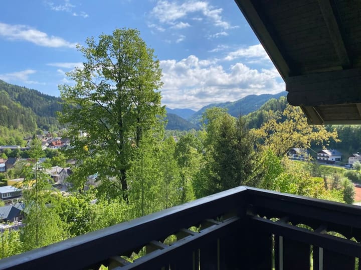 Apartmenthaus Eisenstrasse Apartment Töpper - Lunz am See