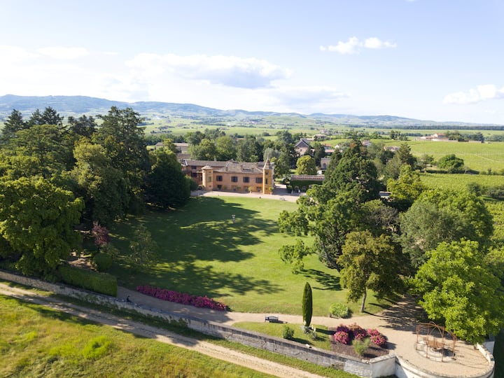 Gîte Chardonnay Du Château De Briante - Belleville, France