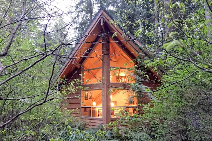 Snowline Cabin #4 - Hot Tub - Bbq - Pets Ok - Glacier, WA
