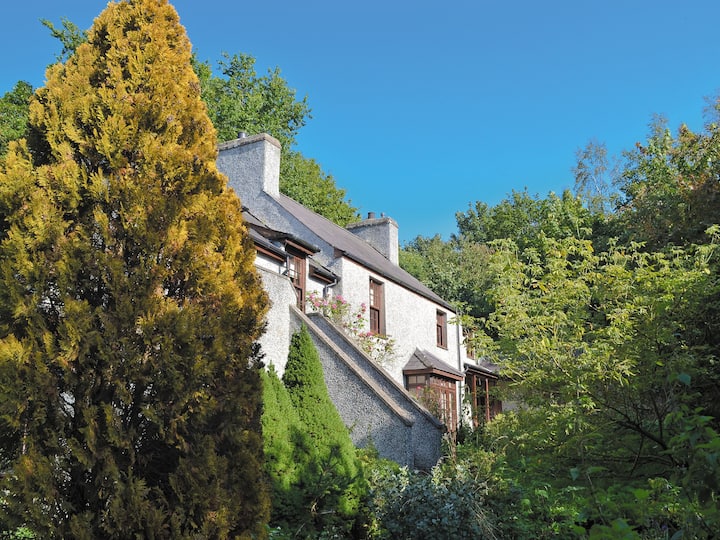 Cae Ocyn - Caernarfon