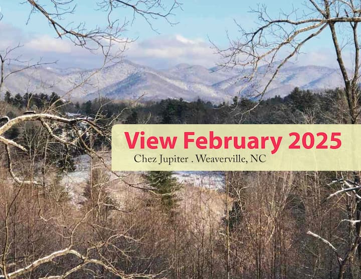 Minutes To Avl+new Kitchen+fenced-in Yard - Weaverville, NC