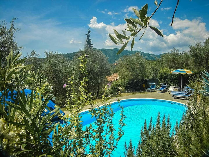 Giglio. Country Villa With Private Pool Near Lucca - Lucca