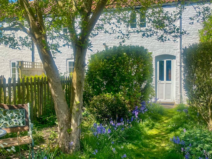 Jenny's Cottage 27553 - Mundesley