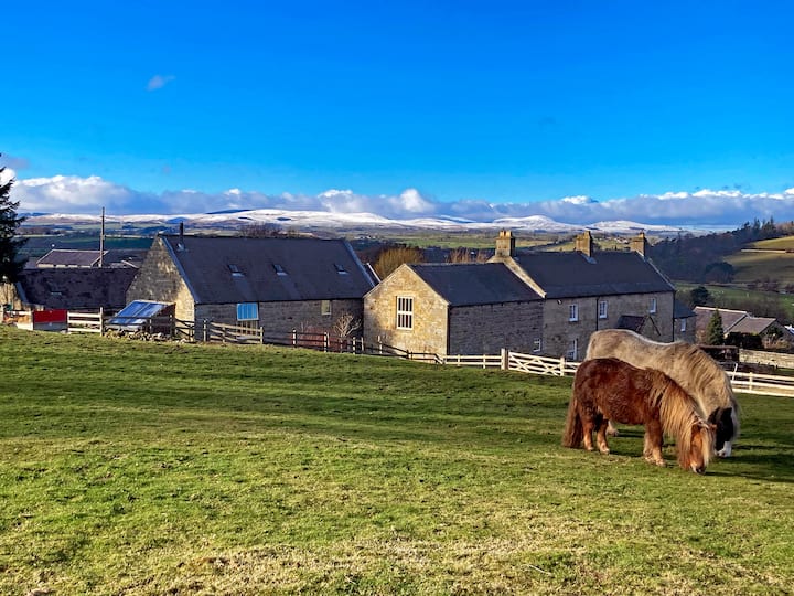 The Old Mill - 28218 - Rothbury