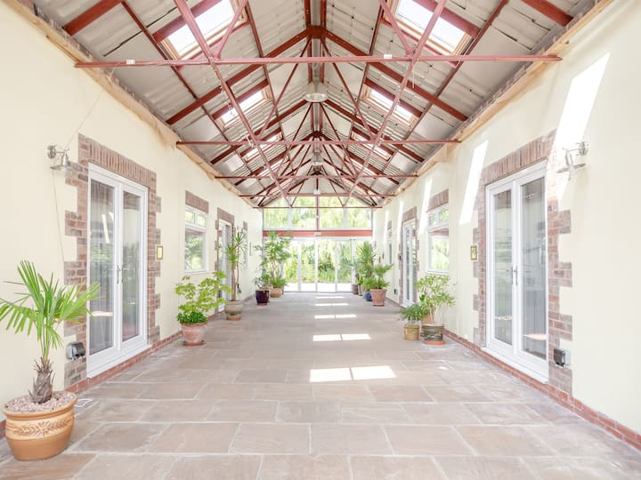 Daffodil - W43304 - Hornsea