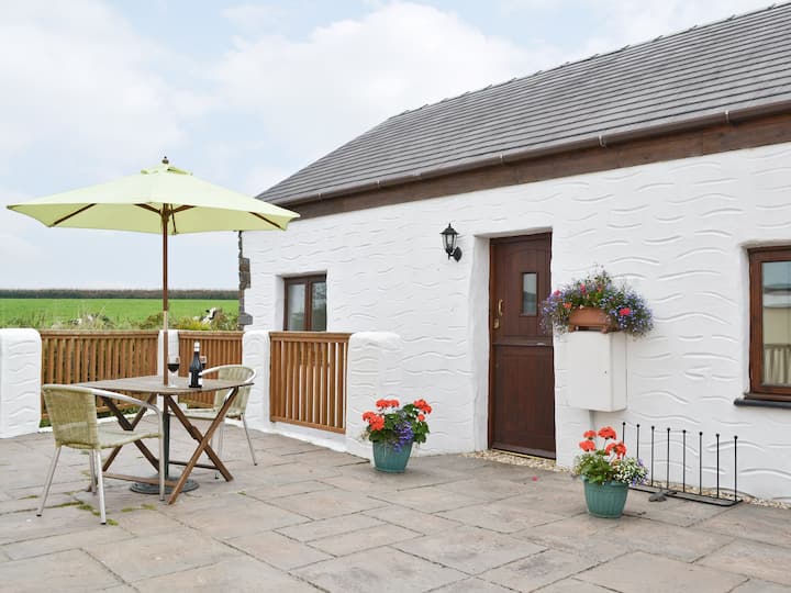 Bwthyn Bach - 29177 - Carmarthenshire